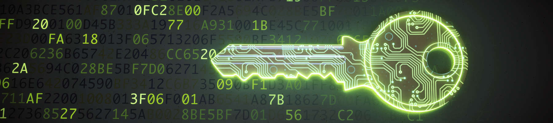 Encryption Key Management - Senetas