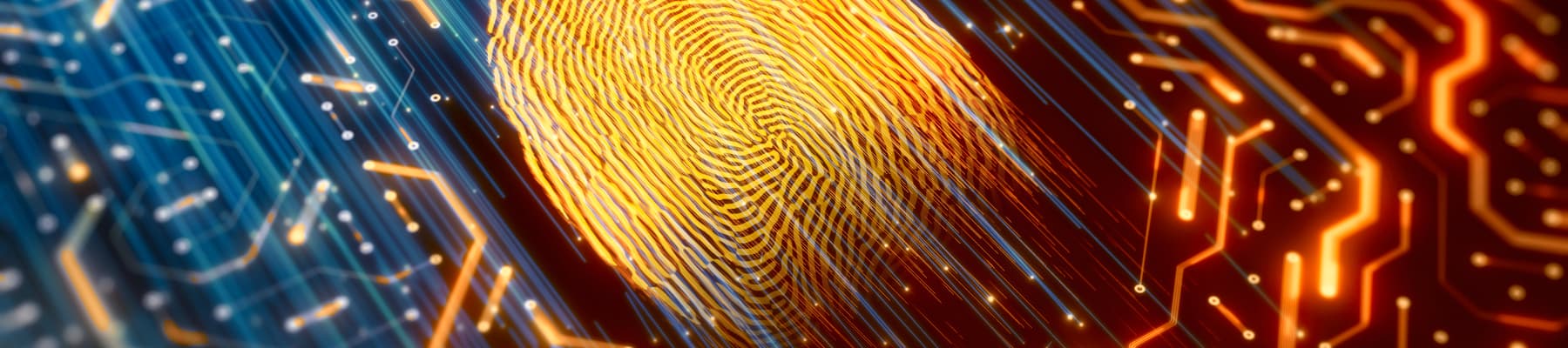 Network Independent Encryption Explained | senetas.com